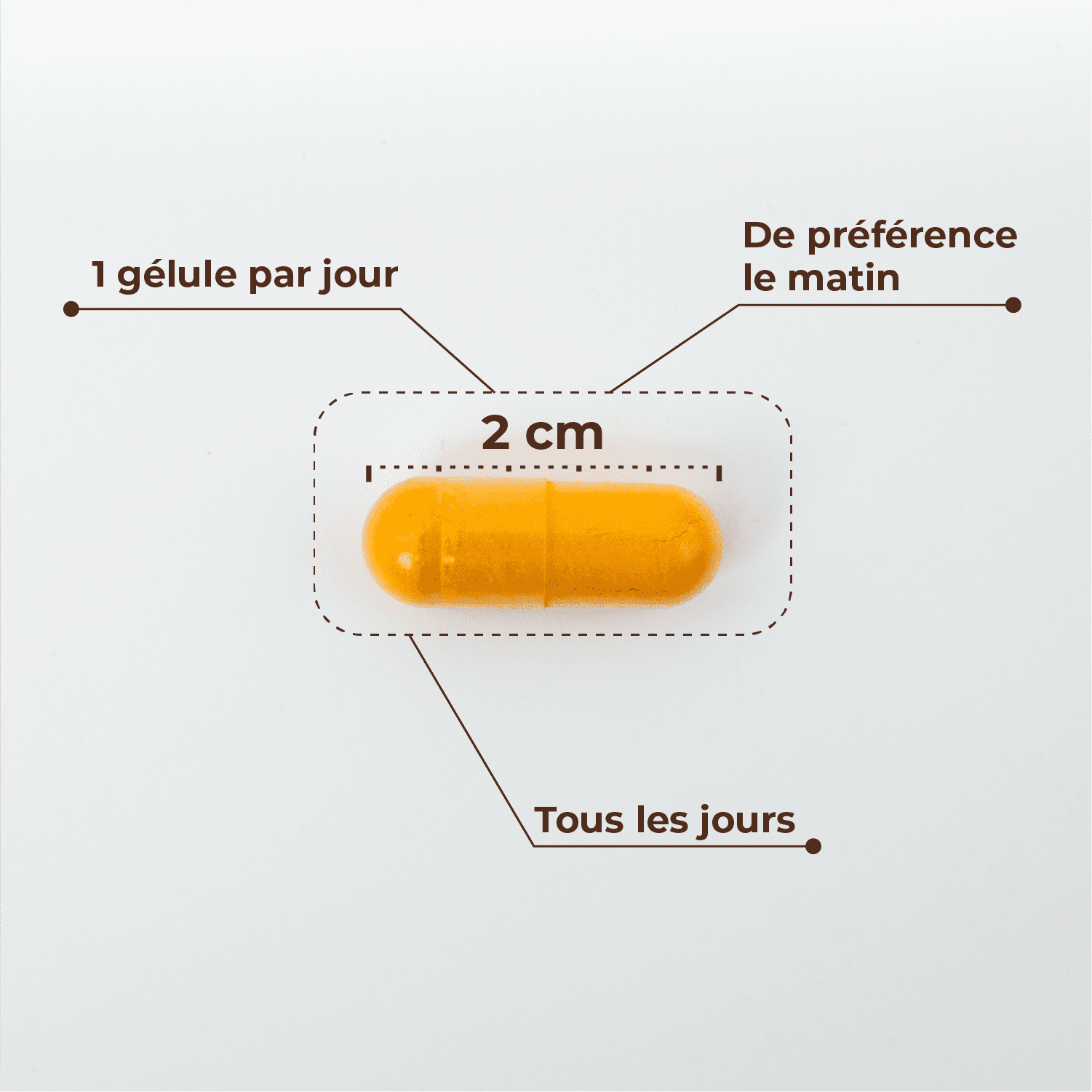 Curcuma + Poivre Noir | Kobho Labs | Livraison gratuite